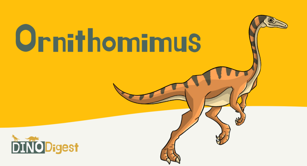 Meet The Ornithomimus And Its Toothless Beak | Dino Digest