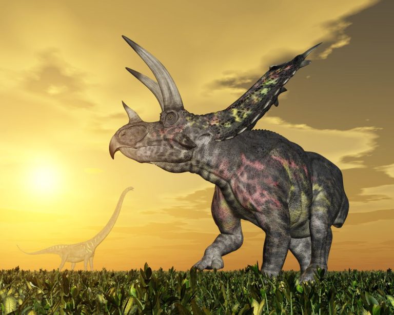 It’s The Five-Horned Face Pentaceratops! | Dino Digest