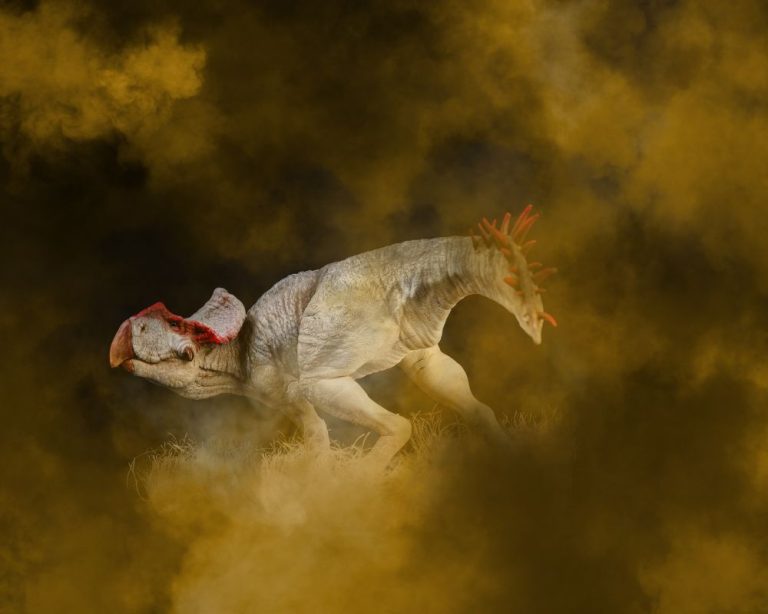 Explore The Horn-Faced Ceratopsians | Dino Digest