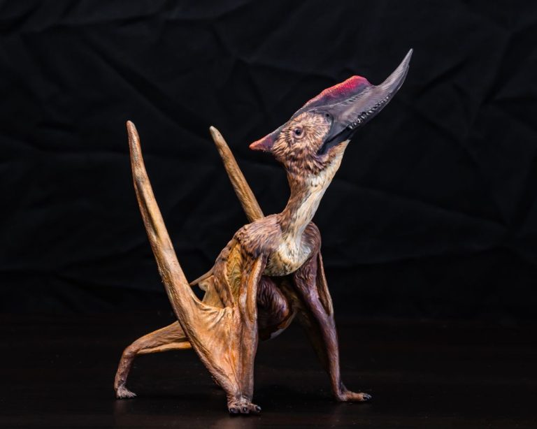 Meet The Pterodactylus, A Flying Reptile | Dino Digest