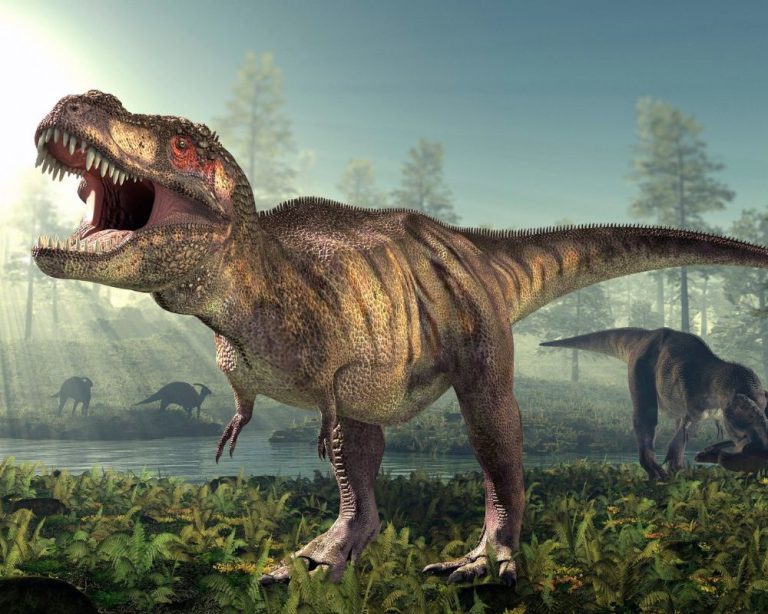 Check Out The Royal Rajasaurus | Dino Digest