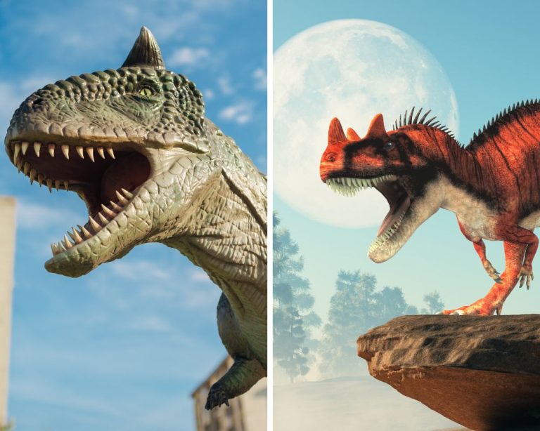 Carnotaurus Vs. Ceratosaurus: A Battle Of Unique Strengths