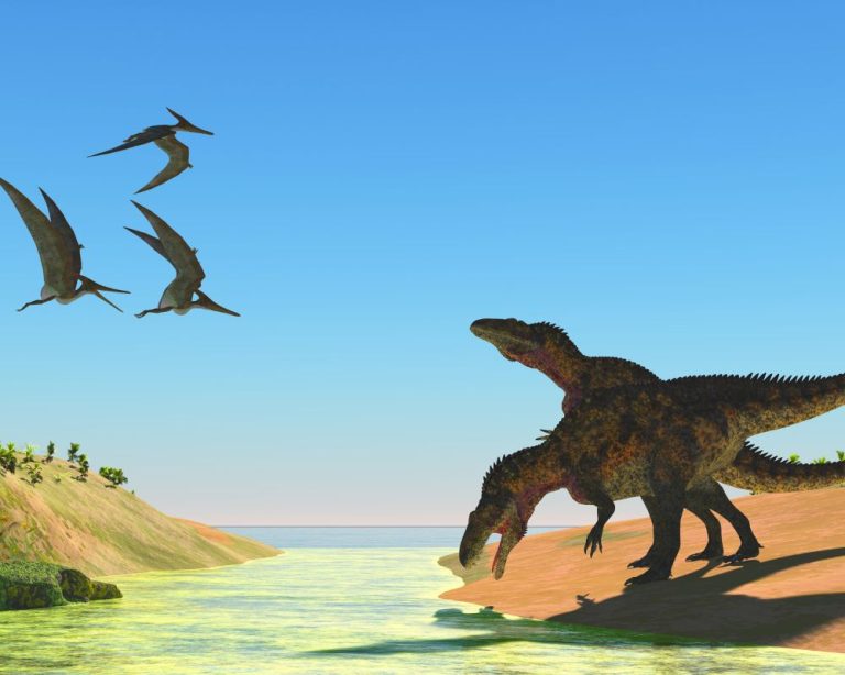 Giganotosaurus: The Largest Sauropod In South America