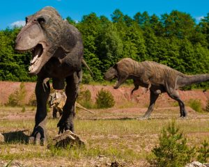 Allosaurus, The Dino That Shed Its Teeth | Dino Digest