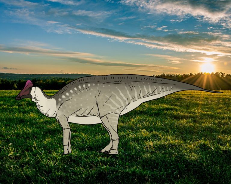 Parasaurolophus: The Dino With A Giant Crest | Dino Digest