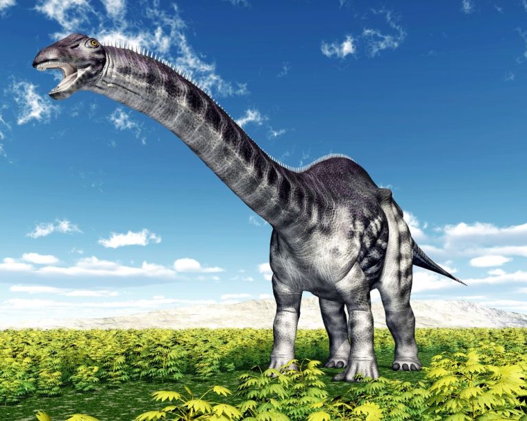 Apatosaurus, The Deceptive Lizard | Dino Digest