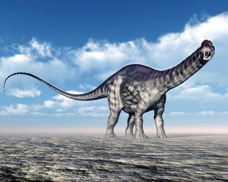 Brachiosaurus: A Giant Long-neck Dino | Dino Digest