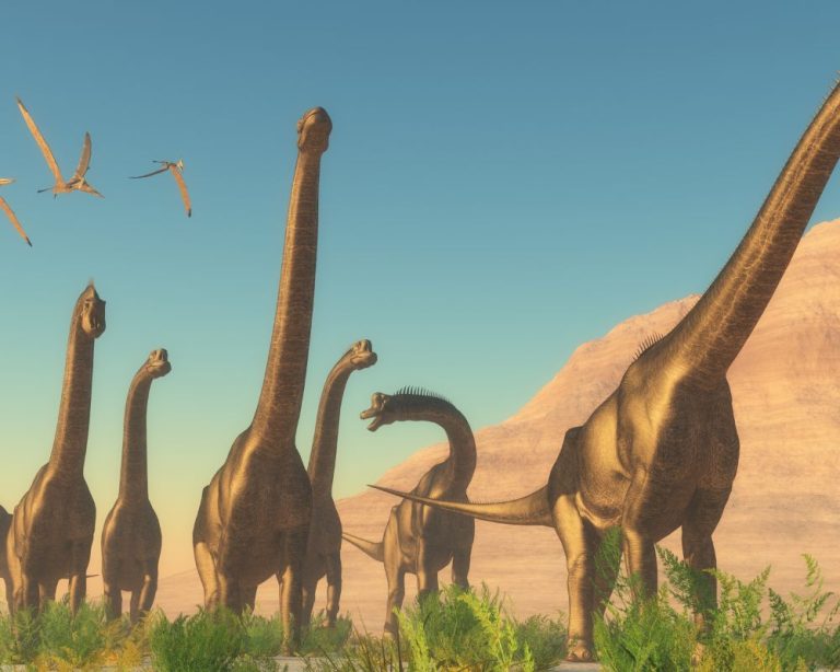 Brachiosaurus: A Giant Long-neck Dino | Dino Digest
