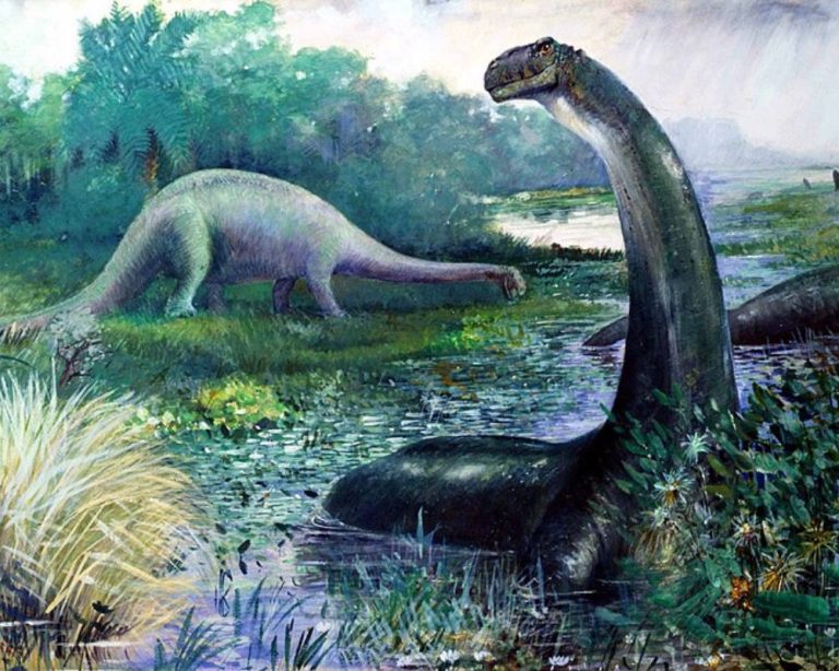 Brontosaurus, The Massive Sauropod | Dino Digest