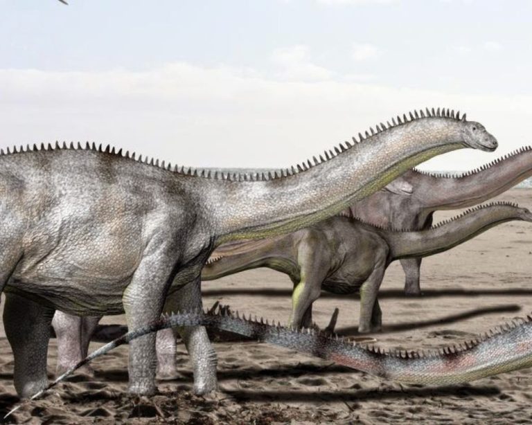 Brontosaurus, The Massive Sauropod | Dino Digest