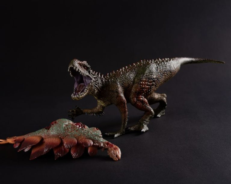 Carcharodontosaurus Vs. Aucasaurus: Size Wins | Dino Digest