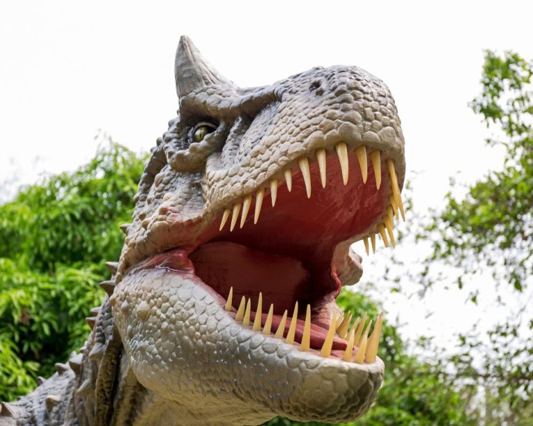 Carnotaurus, The Carnivore With Horns