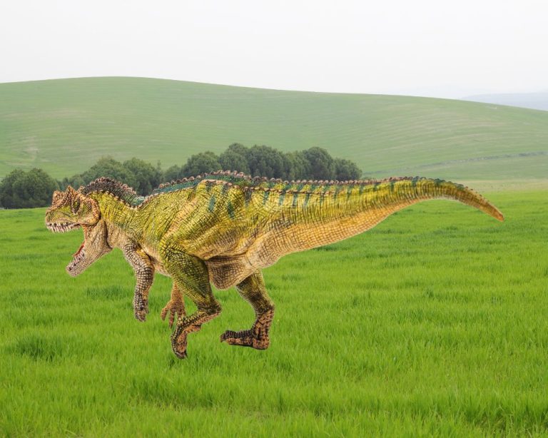 Stegosaurus: The Roof Lizard With A Spiked Tail