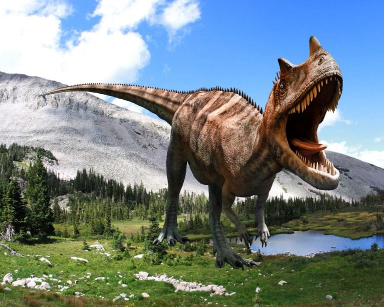 Ceratosaurus Vs. Utahraptor: Size Vs. Retractable Claws