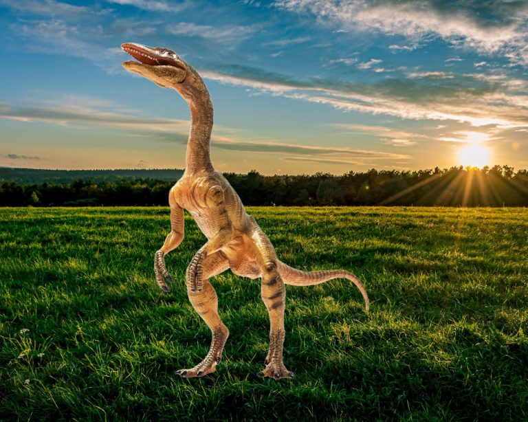 Velociraptor Vs. Compsognathus: A Tiny Battle | Dino Digest