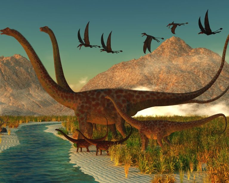 Diplodocus: The Longest Dinosaur In North America