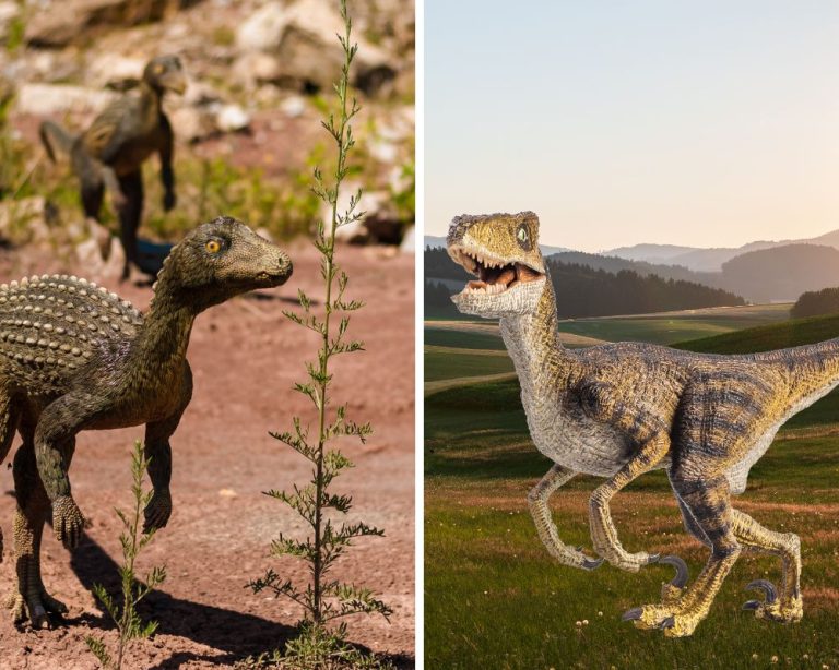 Check Out The Battle Of Edmontosaurus Vs. Raptors