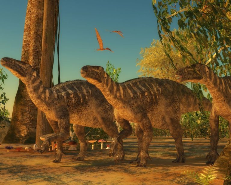 Iguanodon: A Dino That Grew Fast | Dino Digest
