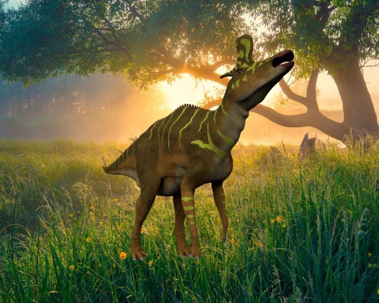 Parasaurolophus: The Dino With A Giant Crest | Dino Digest