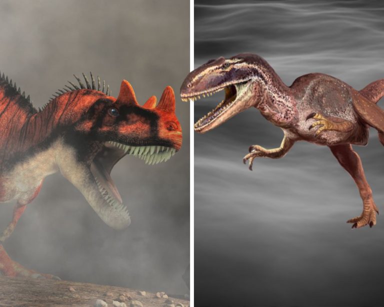 Metriacanthosaurus Vs. Ceratosaurus: A Battle Of Carnivores