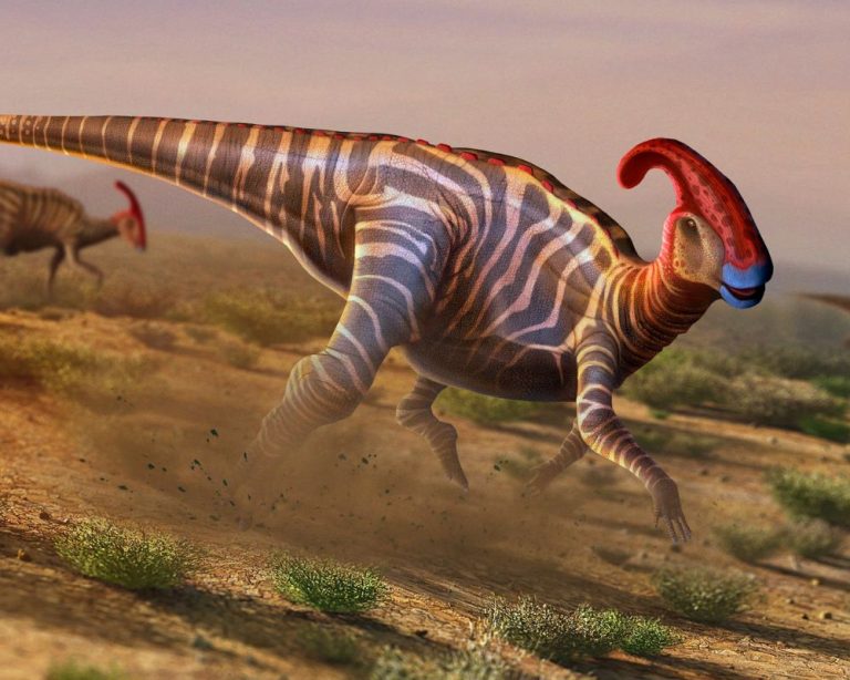 Parasaurolophus: The Dino With A Giant Crest | Dino Digest