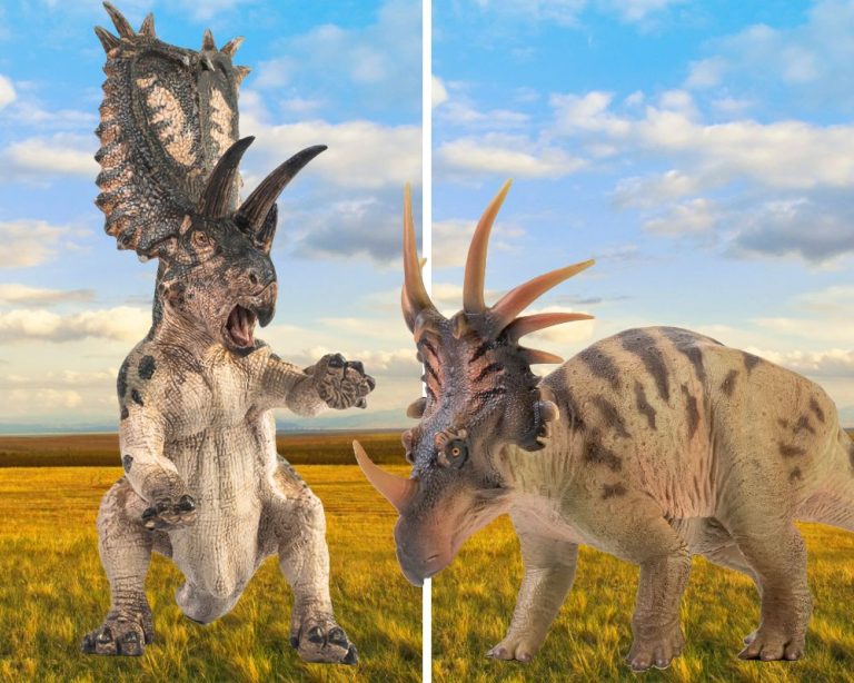 Pentaceratops Vs. Styracosaurus: Horns Vs. Frills