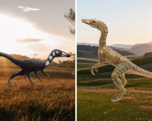 It’s On! Procompsognathus Vs. Compsognathus