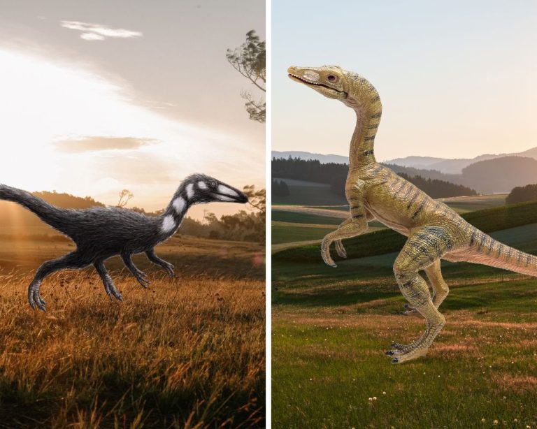 It’s On! Procompsognathus Vs. Compsognathus