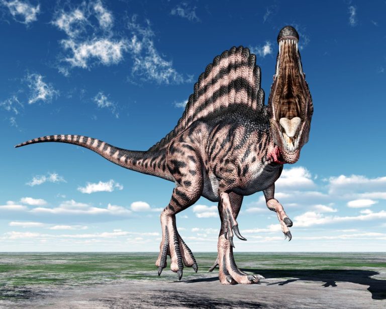 Spinosaurus: A Dino With A Huge Sail-like Fin