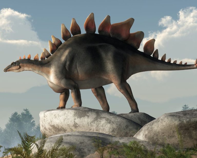 Stegosaurus: The Roof Lizard With A Spiked Tail