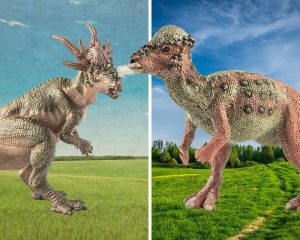 Stygimoloch Vs. Pachycephalosaurus: Aggressive Vegetarians