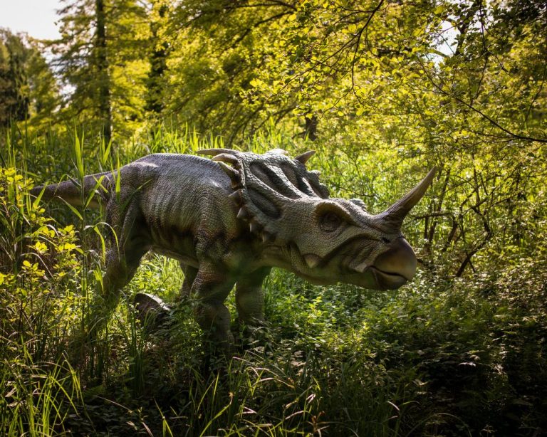 Pentaceratops Vs. Styracosaurus: Horns Vs. Frills
