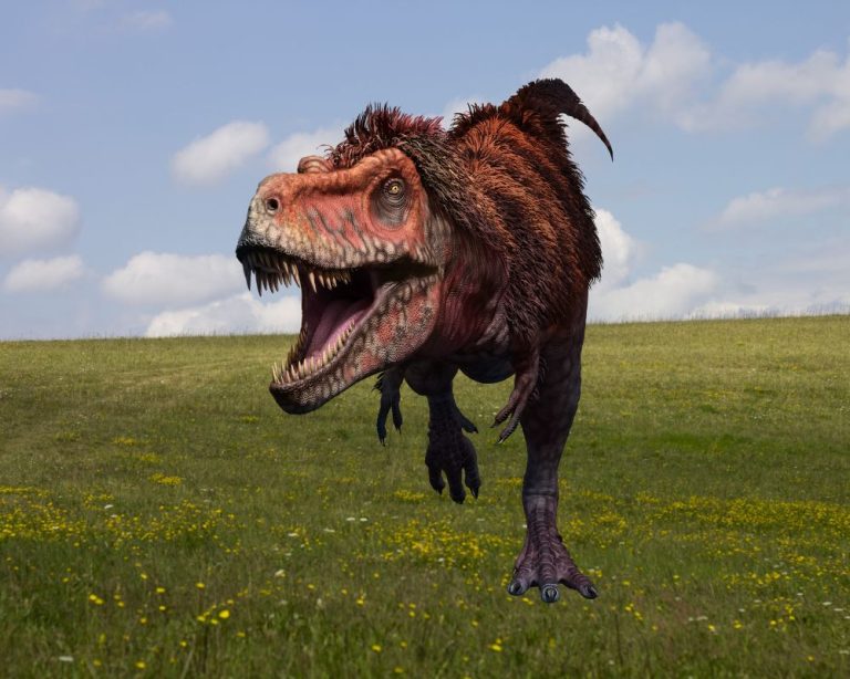 Tyrannosaurus Rex Vs. Tarbosaurus: A Family Fight