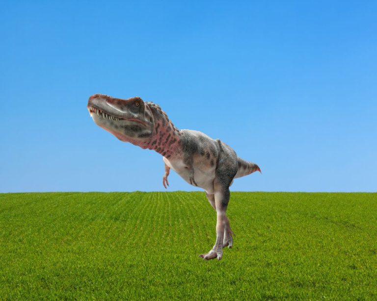 Siamotyrannus Vs. Tarbosaurus Battle Facts | Dino Digest