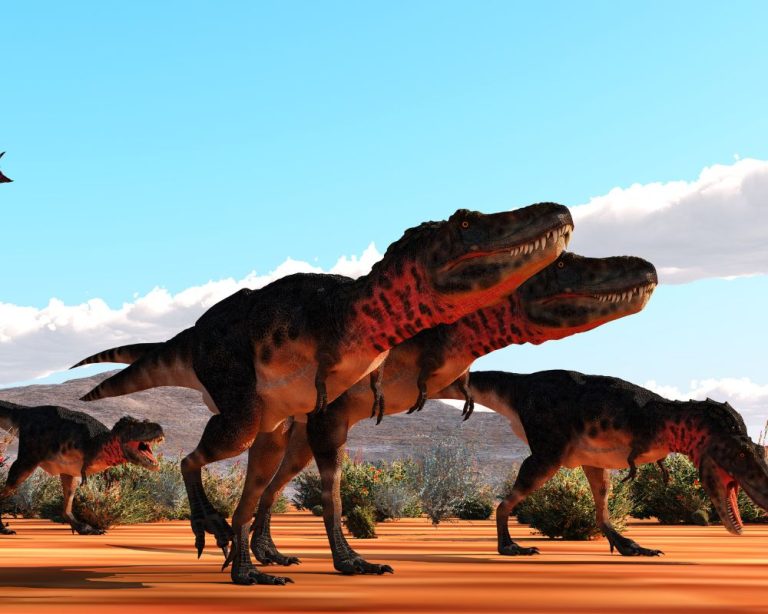 Velociraptor Vs. Compsognathus: A Tiny Battle | Dino Digest