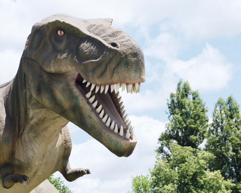 Dromaeosaurus: A Small But Ferocious Predator | Dino Digest