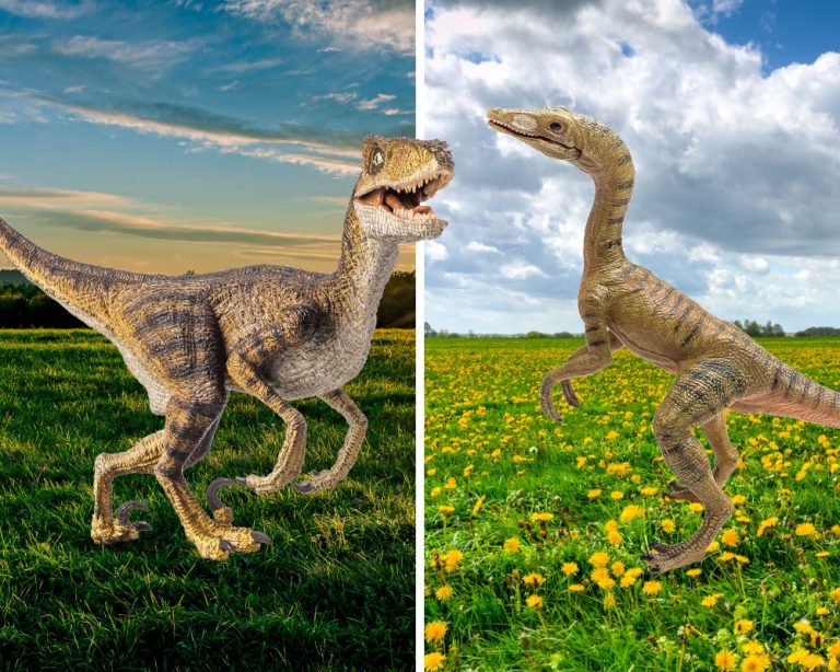 Velociraptor Vs. Compsognathus: A Tiny Battle | Dino Digest