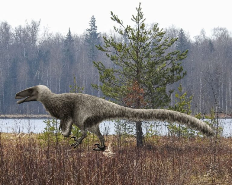 Dromaeosaurus: A Small But Ferocious Predator | Dino Digest