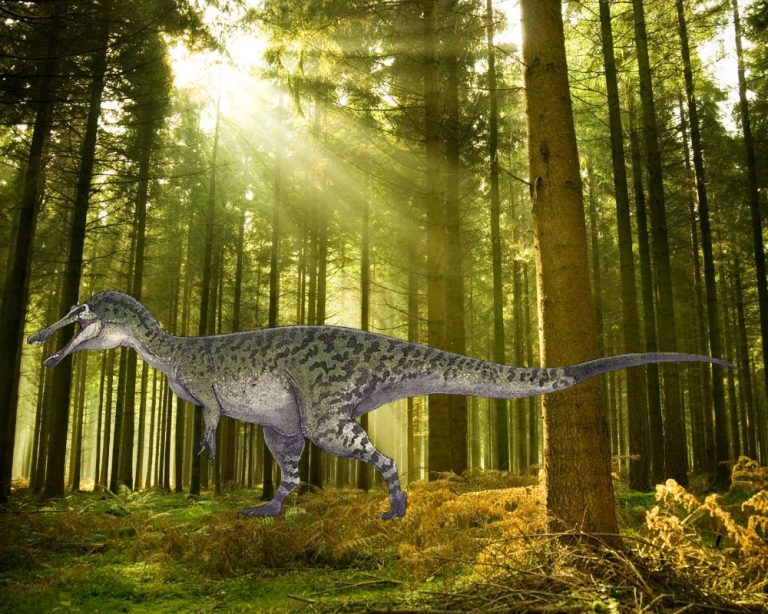 Baryonyx: A Therapod With Robust Forelimbs | Dino Digest