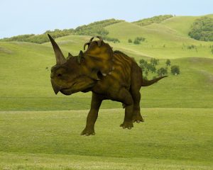 Pachyrhinosaurus, The Boney Nose Dino