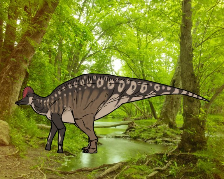 Corythosaurus: The Helmet Lizard | Dino Digest