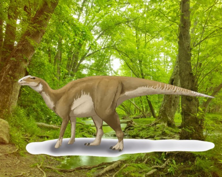 Hadrosaurus: New Jersey State's Dino