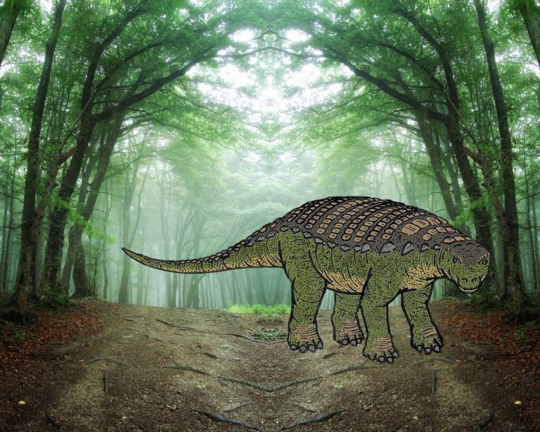 Nodosaurus Weighed As Much As 2 Grizzly Bears! | Dino Digest