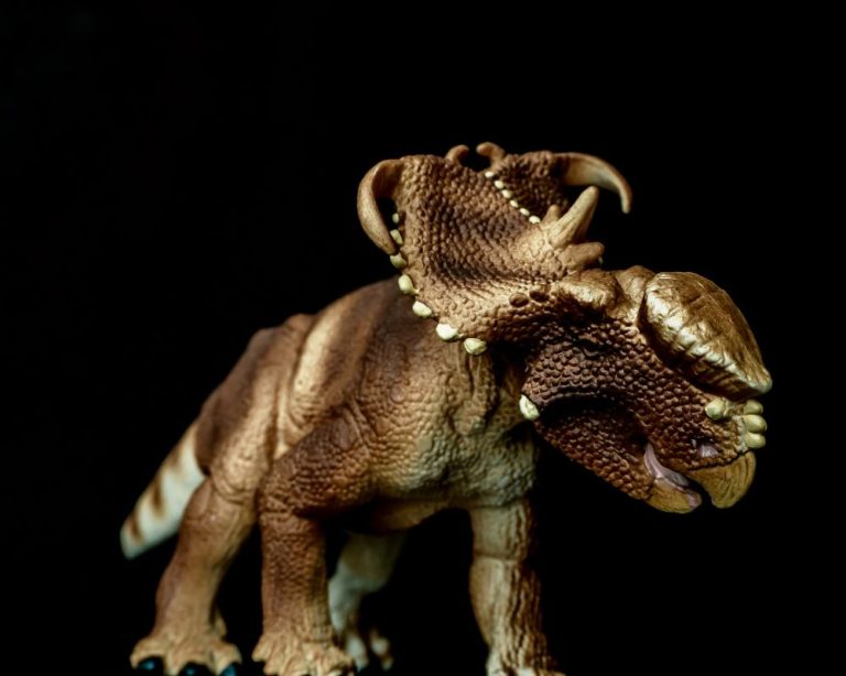 Pachyrhinosaurus, The Boney Nose Dino