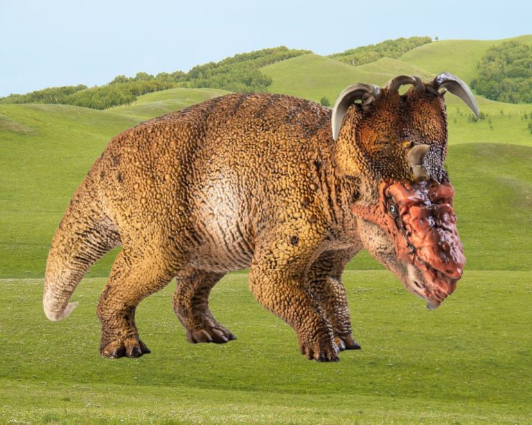 Pachyrhinosaurus, The Boney Nose Dino