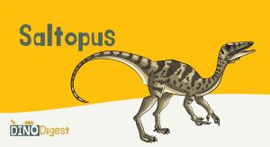 Uncovering The Saltopus, A Surprisingly Common Dino