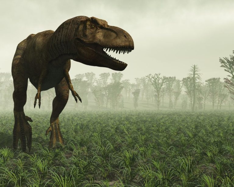Tyrannosaurus Rex: The King Of Dinosaurs | Dino Digest