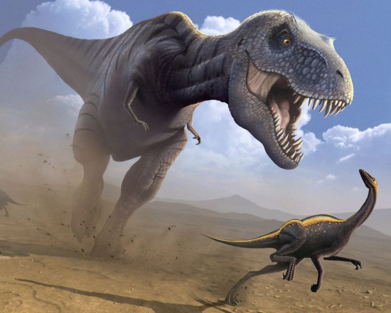 Tyrannosaurus Rex: The King Of Dinosaurs | Dino Digest