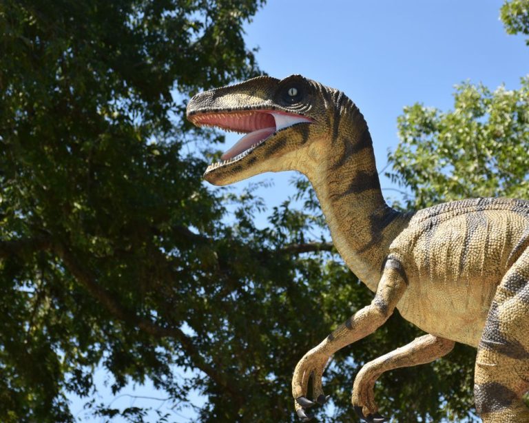 Deinonychus: The Sickle-shaped Talon Dino | Dino Digest