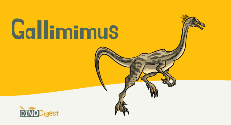 Gallimimus: A Mongolian Chicken Mimic | Dino Digest